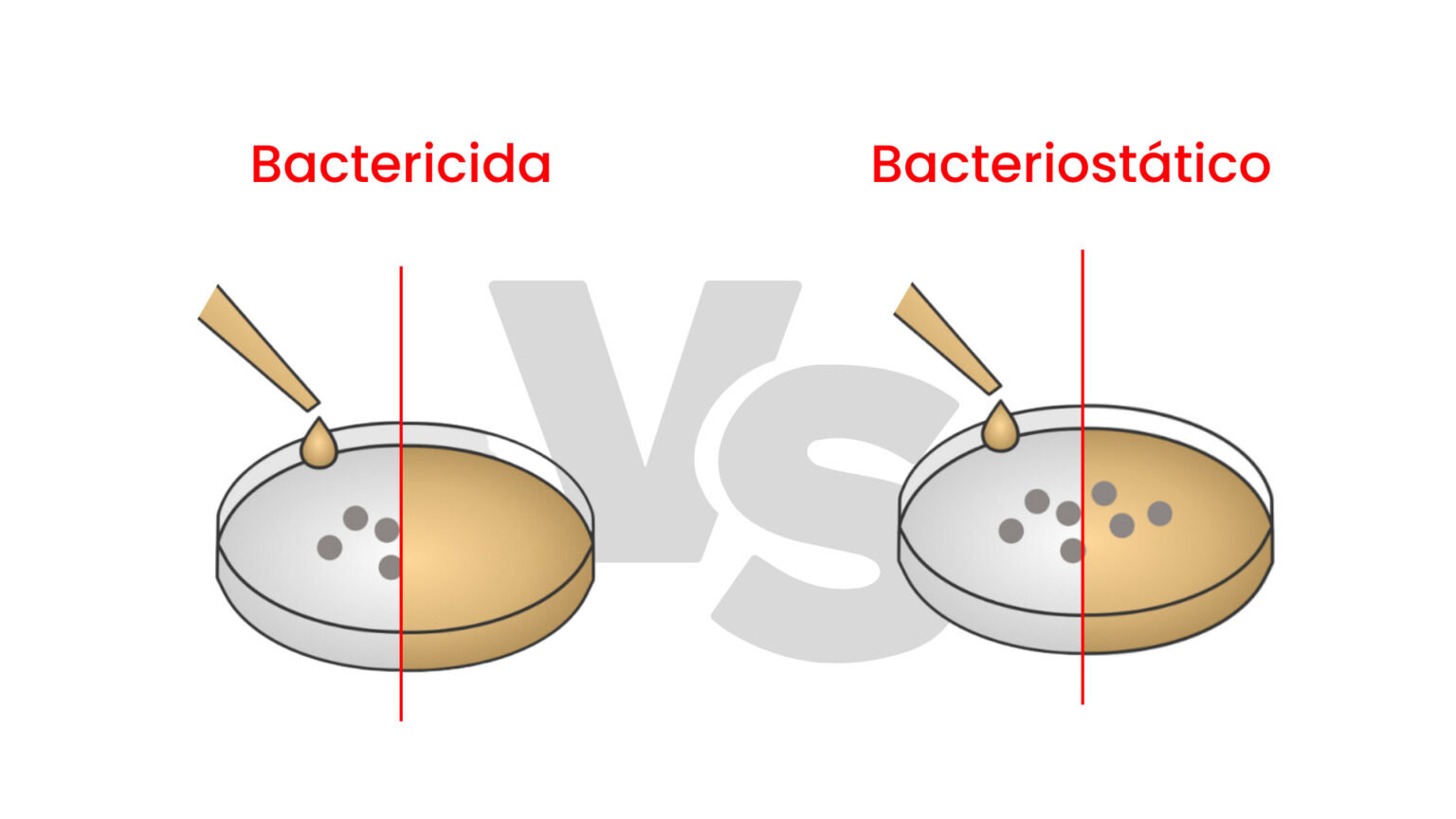 Bactericida e bacteriostático: qual a diferença? - TNS Nano